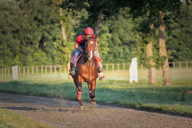 The stable - Tenuta San Guido