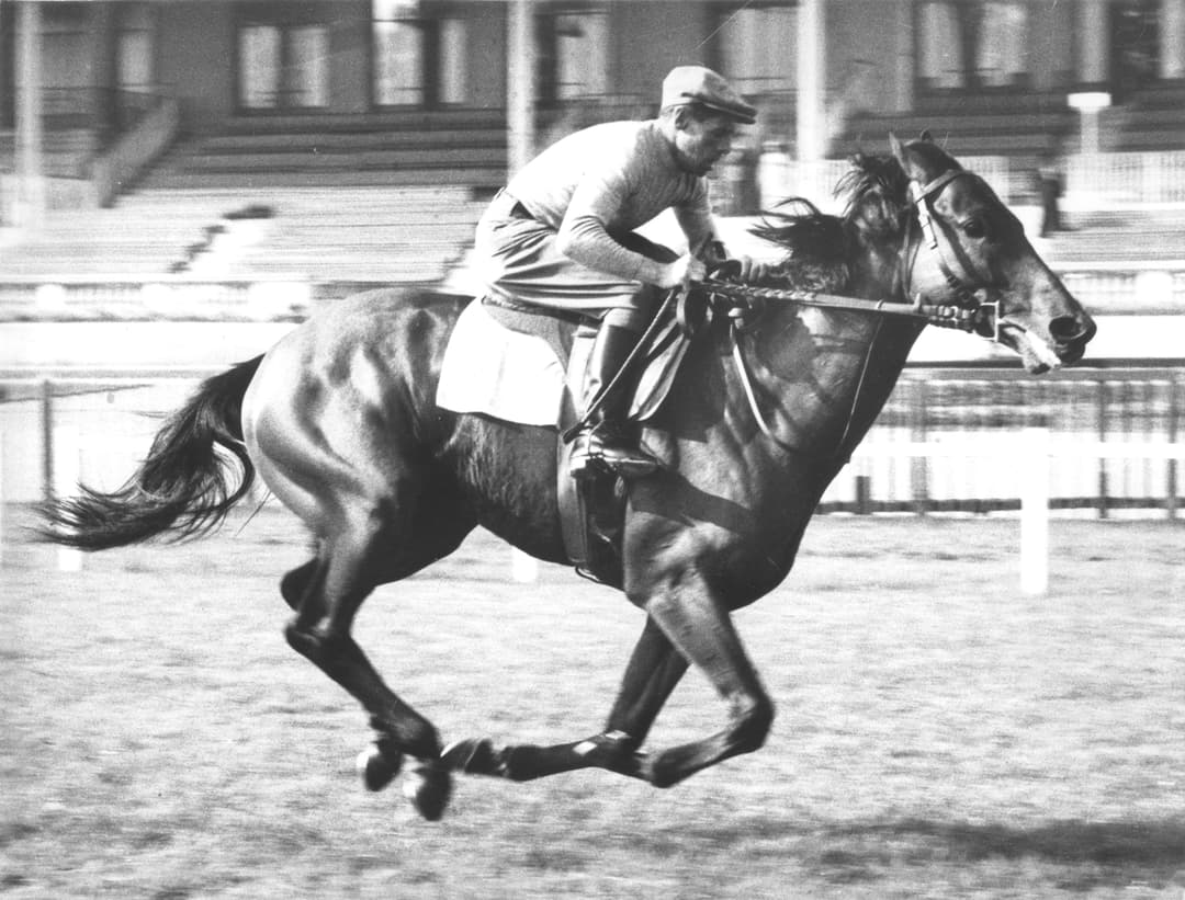 The stable - Tenuta San Guido